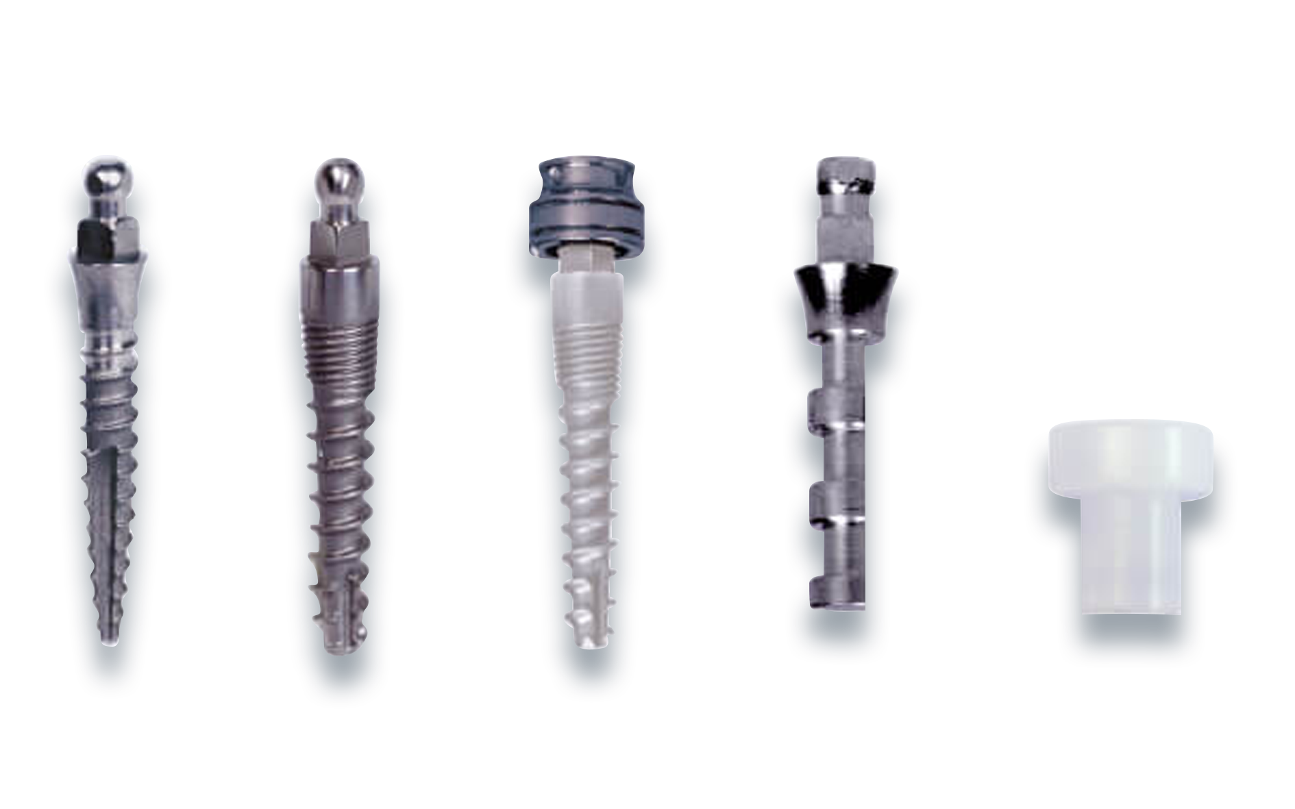 prothese auf mini implantate-dgdoa besucher | permadental